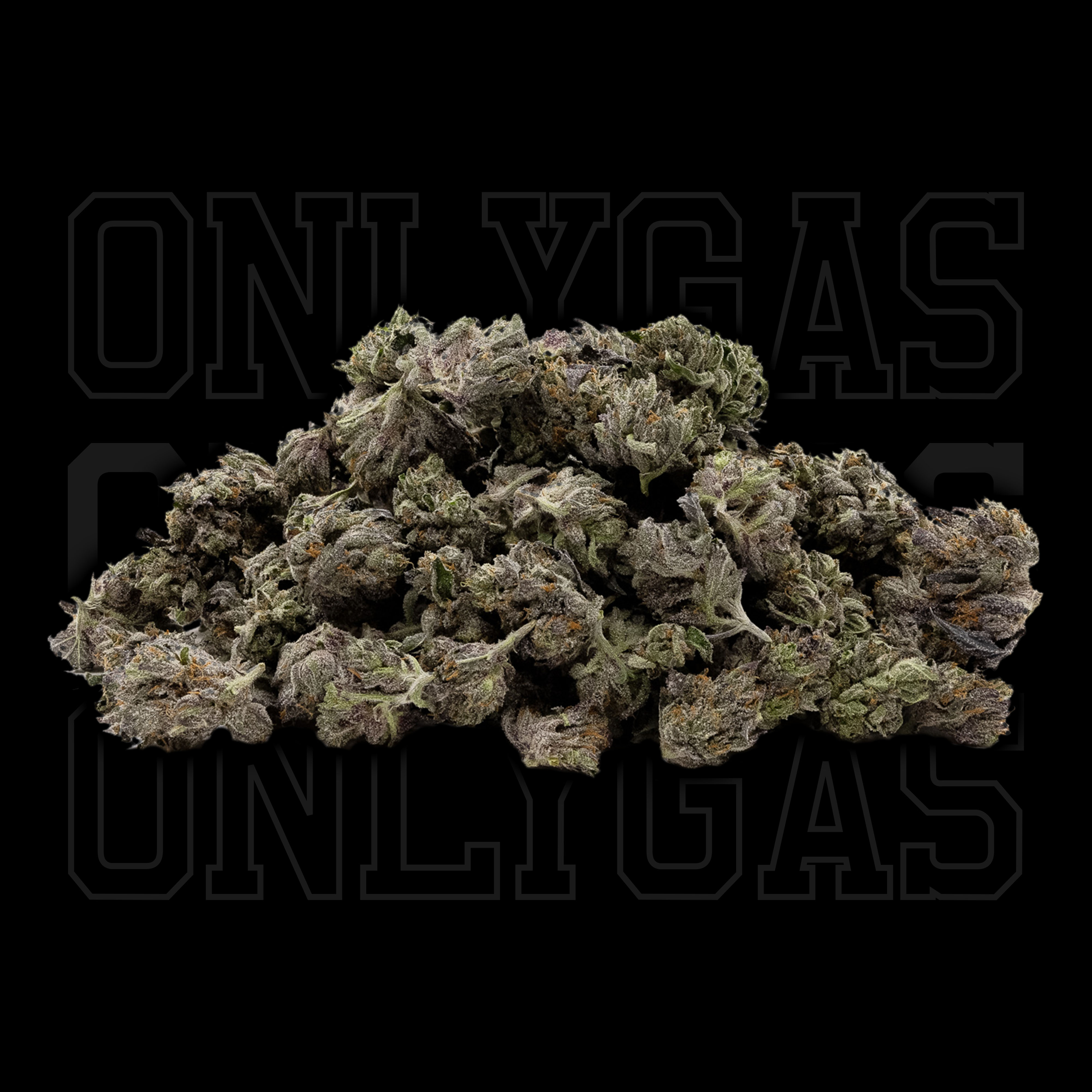 Shop - ONLYGAS