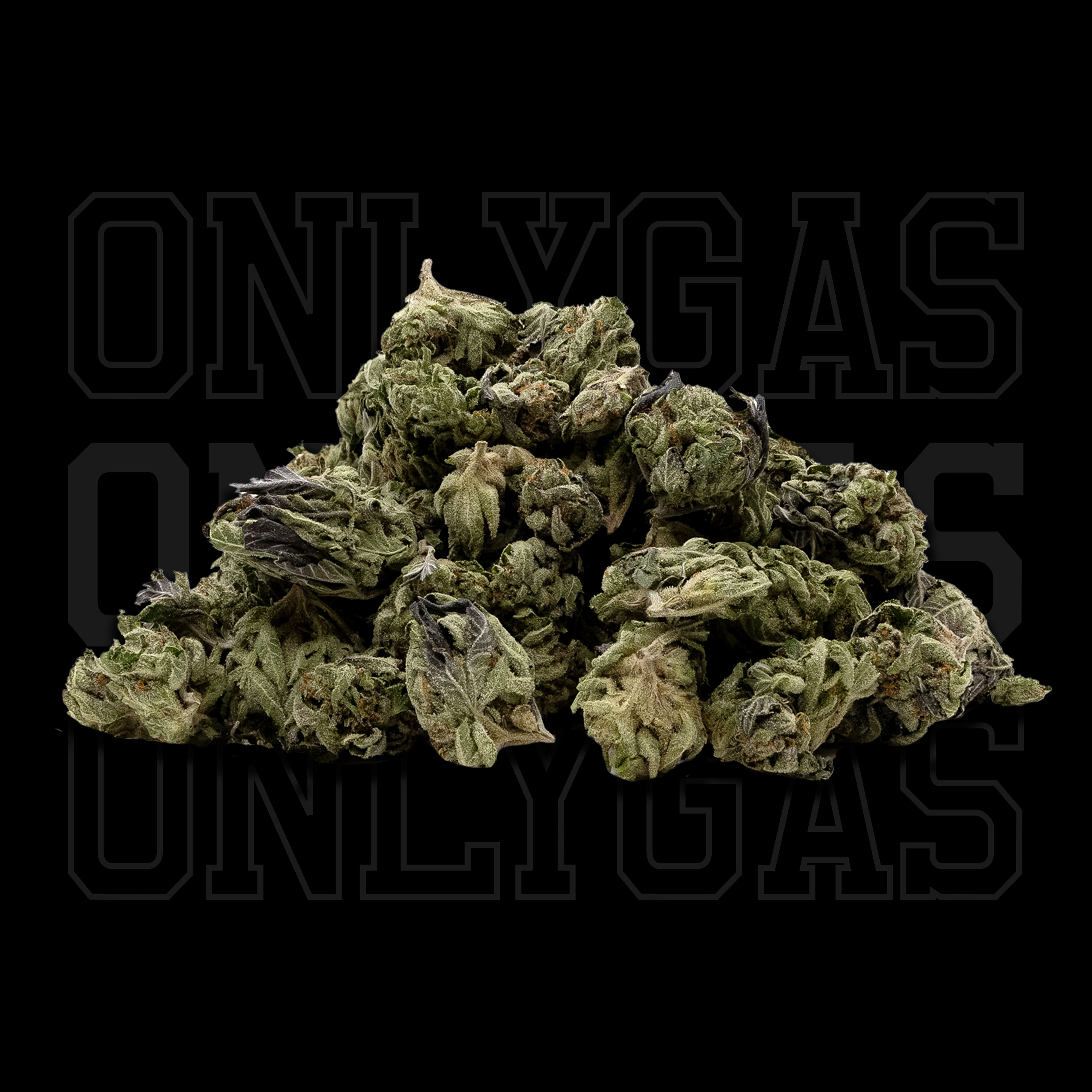 Shop - ONLYGAS
